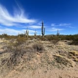 Lower Salt River Nature Trail, Arizona - 1,062 Reviews, Map | AllTrails