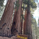 Congress Trail, California - 2,699 Reviews, Map | AllTrails