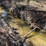 Chinquapin Loop Trail, Texas - 2,299 Reviews, Map | AllTrails