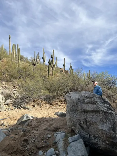 Best Hikes and Trails in Bumble Bee Ranch | AllTrails