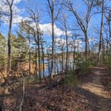 Homestead Trail, Georgia - 2,974 Reviews, Map | AllTrails