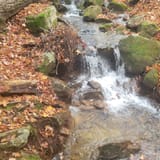 Goodnow Mountain Trail, New York - 1,229 Reviews, Map | AllTrails