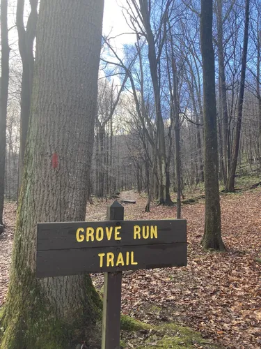 Best Hikes and Trails in Linn Run State Park | AllTrails