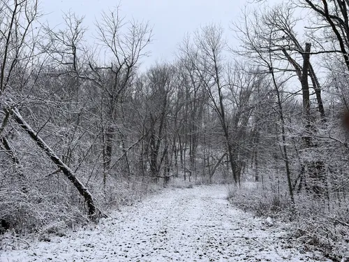 Best 10 Hiking Trails in Wickiup Hill County Park | AllTrails