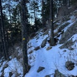 Thomas Trail Loop, Colorado - 1,002 Reviews, Map | AllTrails