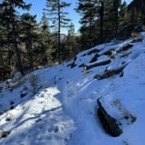 Thomas Trail Loop, Colorado - 1,002 Reviews, Map | AllTrails