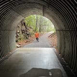 Poe Paddy Tunnel Loop, Pennsylvania - 66 Reviews, Map | AllTrails