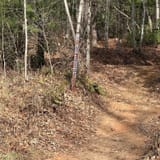 Hard Times Loop, North Carolina - 1,544 Reviews, Map | AllTrails
