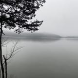 Niquette Bay State Park, Vermont - 847 Reviews, Map | AllTrails