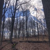 Millennium Trail, Kentucky - 449 Reviews, Map | AllTrails