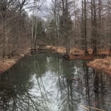 Millennium Trail, Kentucky - 449 Reviews, Map | AllTrails