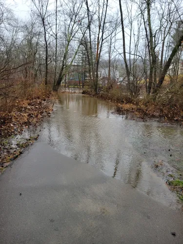 Best Hikes and Trails in Speedwell Park | AllTrails