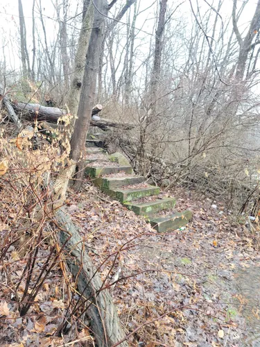 Best Hikes and Trails in Speedwell Park | AllTrails