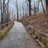 Morrison Valley Trail, Ontario, Canada - 395 Reviews, Map | AllTrails