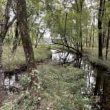 Cedar Lake Trail, Oklahoma - 137 Reviews, Map | AllTrails