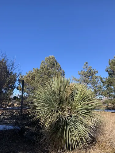 Best Hikes and Trails in Addenbrooke Park | AllTrails