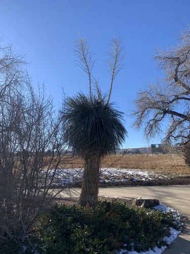 Best Hikes and Trails in Addenbrooke Park | AllTrails