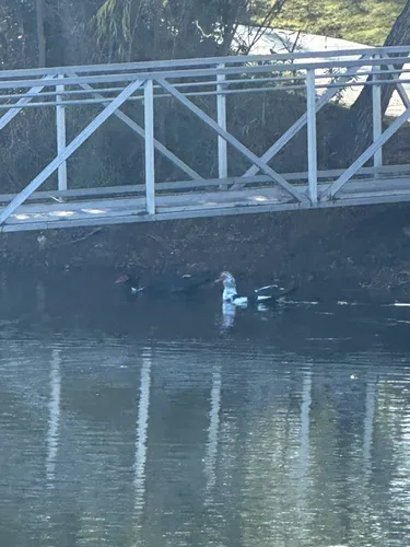 Best Hikes and Trails in Fischer Park | AllTrails