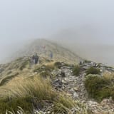 Mount Holdsworth Jumbo Circuit, Wellington, New Zealand - 75 Reviews ...
