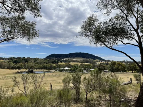 Best Hikes and Trails in Mount Franklin | AllTrails