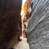 Wire Pass Trail, Utah - 2,685 Reviews, Map | AllTrails