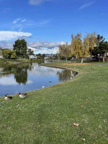 Best Hikes and Trails in Lakeshore Park | AllTrails