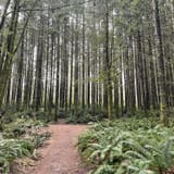 Banner Forest Heritage Park Loop, Washington - 1,353 Reviews, Map ...
