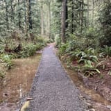 Banner Forest Heritage Park Loop, Washington - 1,353 Reviews, Map ...