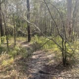 Trachyte Circuit, Queensland, Australia - 226 Reviews, Map | AllTrails