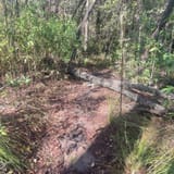 Trachyte Circuit, Queensland, Australia - 226 Reviews, Map | AllTrails