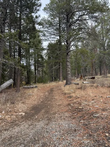 Best Hikes and Trails in Martis Creek Lake National Recreation Area ...