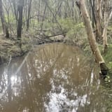 Trachyte Circuit, Queensland, Australia - 226 Reviews, Map | AllTrails