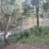 Trachyte Circuit, Queensland, Australia - 226 Reviews, Map | AllTrails