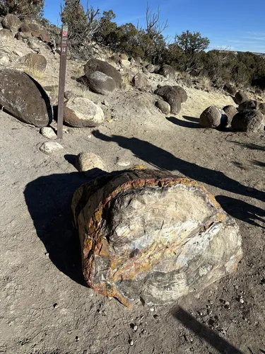 Best 10 Hiking Trails in Escalante Petrified Forest State Park | AllTrails