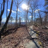 Edward's Point Trail, Tennessee - 2,375 Reviews, Map | AllTrails