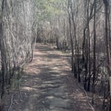 Trachyte Circuit, Queensland, Australia - 226 Reviews, Map | AllTrails