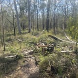 Trachyte Circuit, Queensland, Australia - 226 Reviews, Map | AllTrails