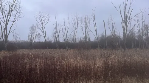 Best Hikes and Trails in Blackwell Forest Preserve | AllTrails