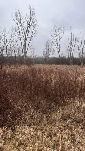 Best Hikes and Trails in Blackwell Forest Preserve | AllTrails