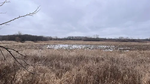 Best Hikes and Trails in Blackwell Forest Preserve | AllTrails