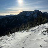 Mount Townsend Trail, Washington - 1,718 Reviews, Map | AllTrails