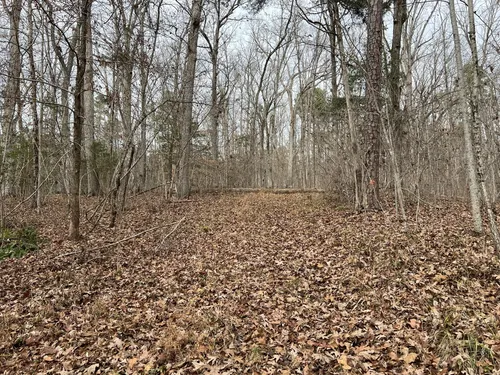 Best Hikes and Trails in Crooked Run Wildlife Management Area | AllTrails