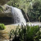 Lower Kalimna Falls, Victoria, Australia - 78 Reviews, Map | AllTrails