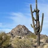 Pemberton Trail Loop, Arizona - 682 Reviews, Map | AllTrails
