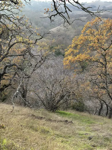 Best Hikes and Trails in Pacheco State Park | AllTrails