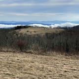 Huckleberry Knob Trail, North Carolina - 612 Reviews, Map | AllTrails