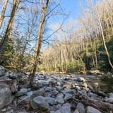 Mouse Creek Falls via Big Creek Trail, Tennessee - 2,563 Reviews, Map ...