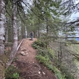 Cedar Butte Trail, Washington - 1,874 Reviews, Map | AllTrails