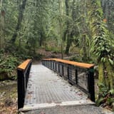 Chuckanut Falls, Washington - 549 Reviews, Map | AllTrails