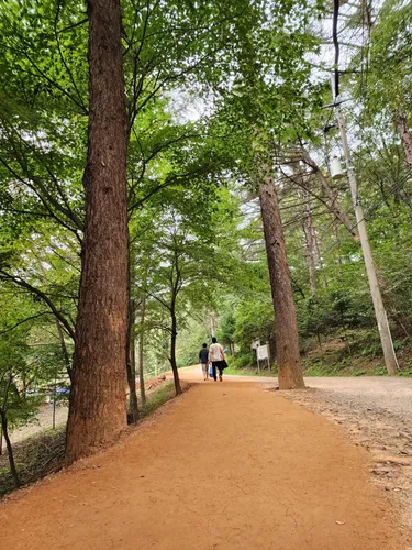 Best Walking Trails in Daedeok-gu | AllTrails